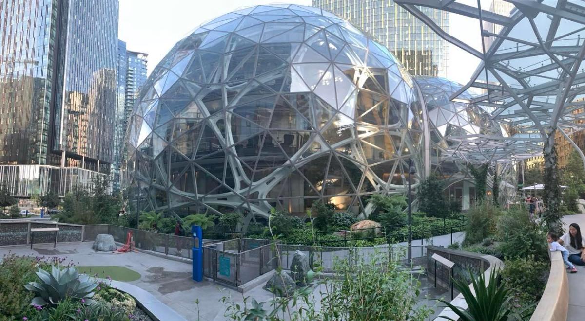 Long walks and a hatchet – Dory the Explorer