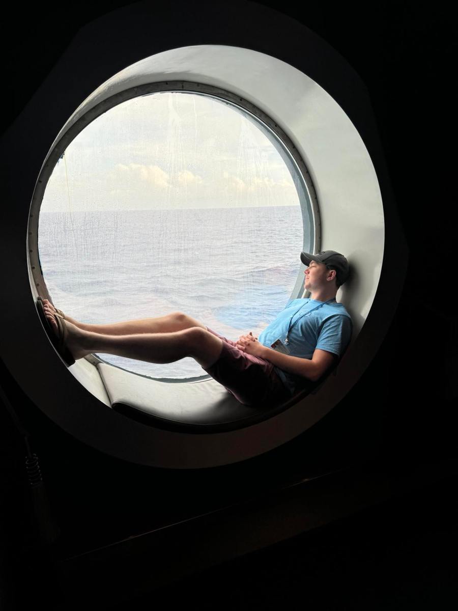 A collision of themes- AND some Disney magic finds Pamela – Dory the ...