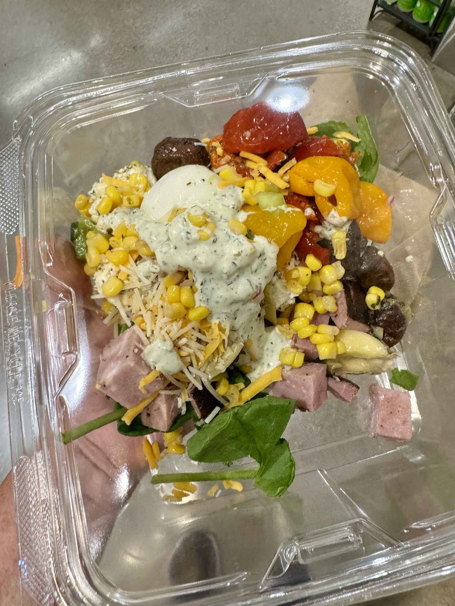 Denver is the goods!! And… another spillage – Dory the Explorer