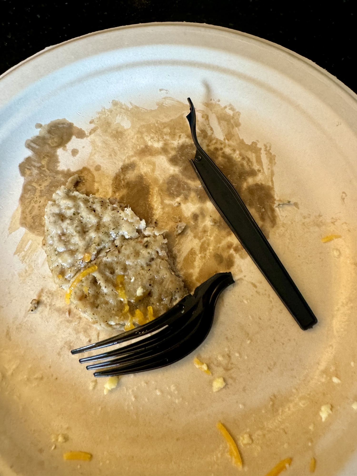 Terminal dwelling – Dory the Explorer